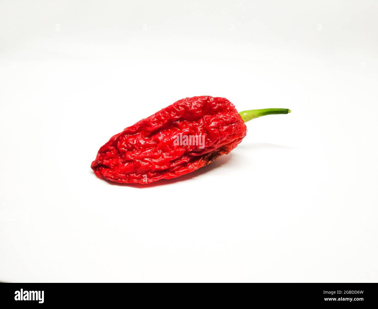 bhut jolokia ghost pepper isolated on white background. fresh Carolina ...