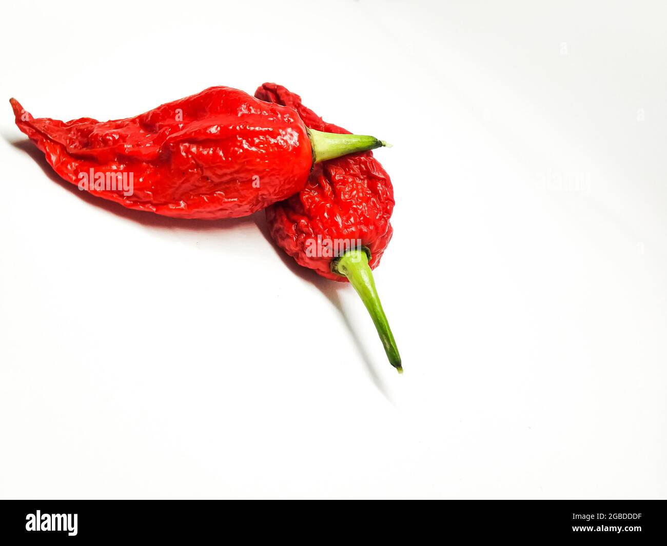 bhut jolokia ghost pepper isolated on white background. fresh Carolina ...