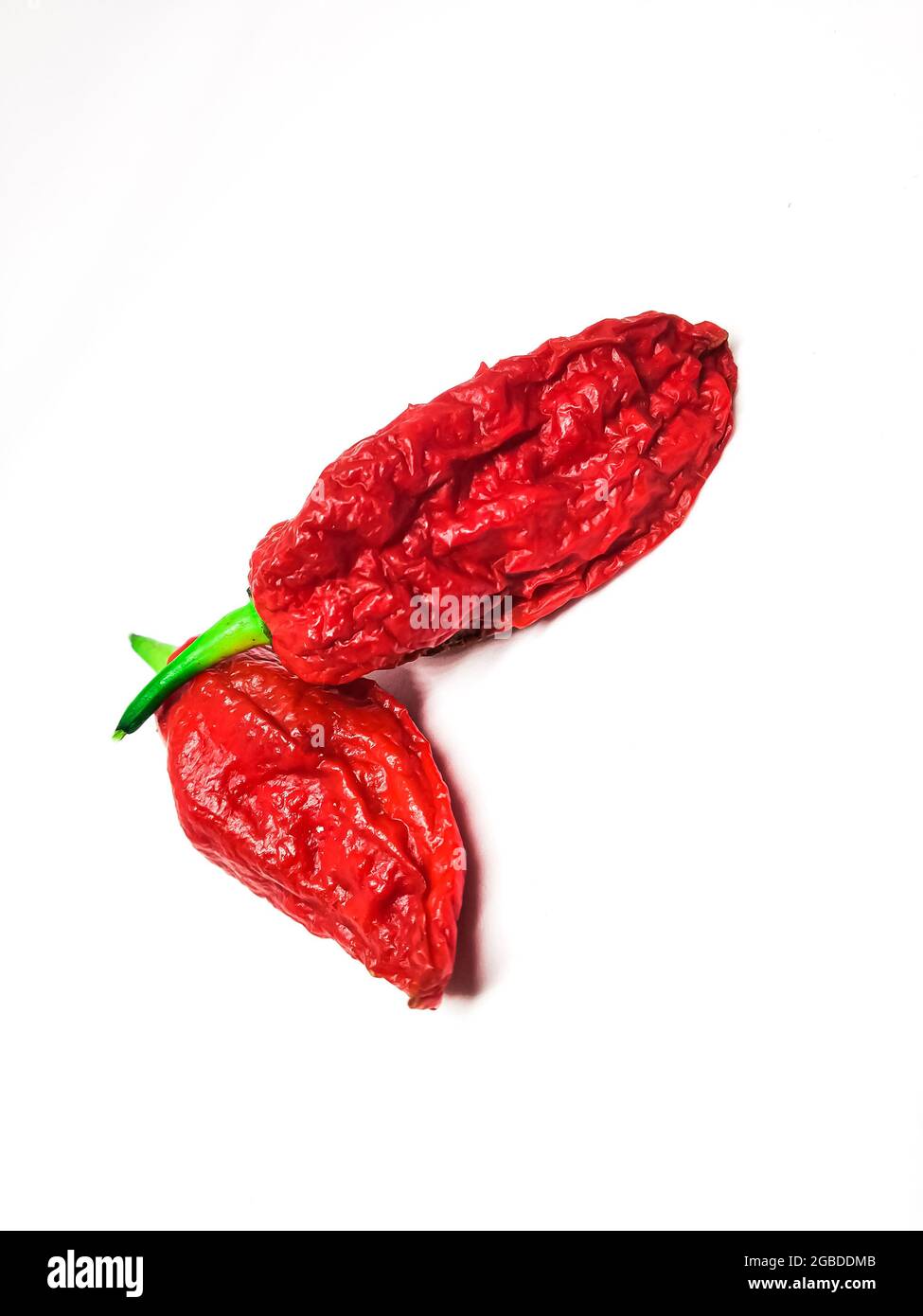 bhut jolokia ghost pepper isolated on white background. fresh Carolina ...