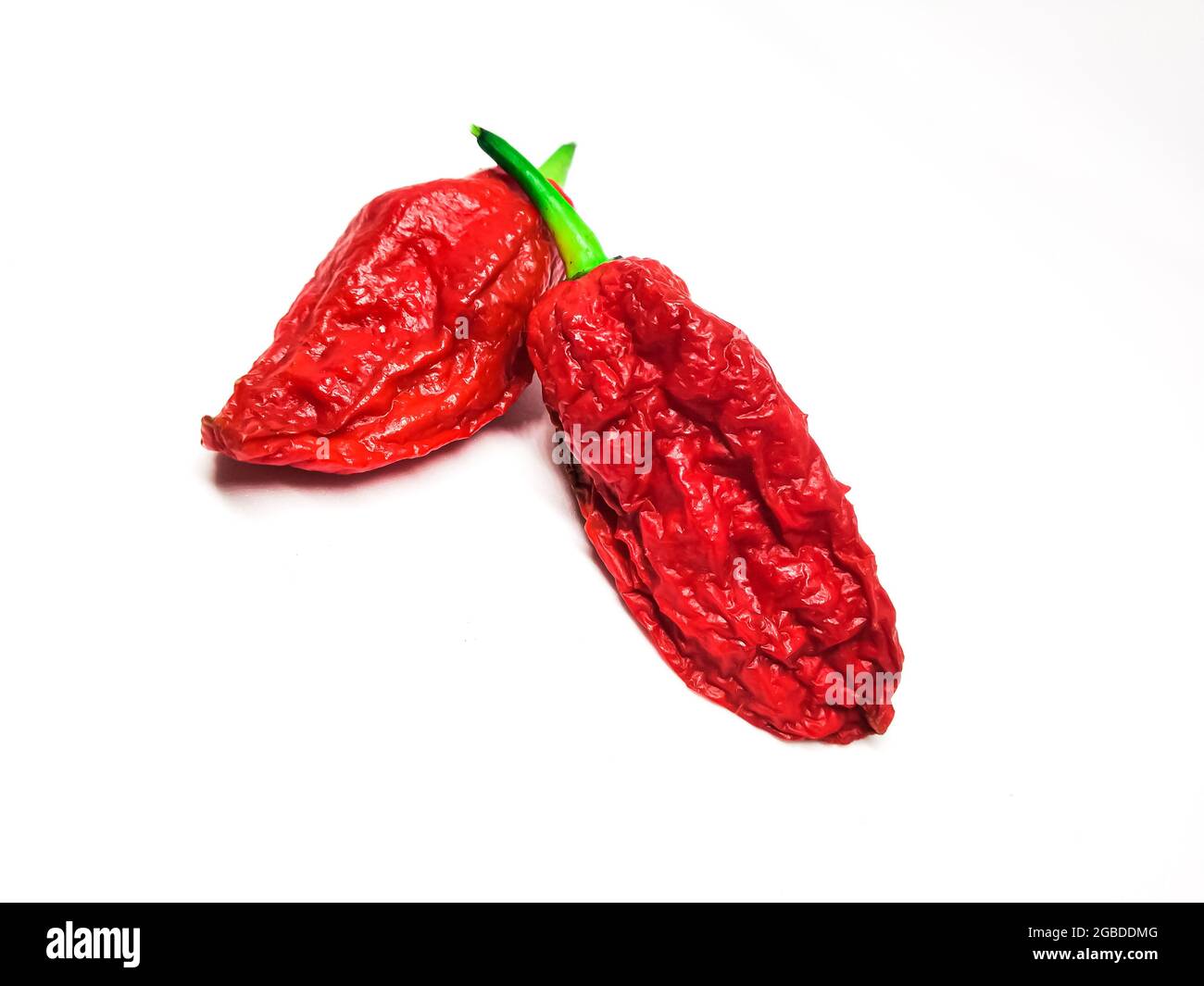 bhut jolokia ghost pepper isolated on white background. fresh Carolina ...