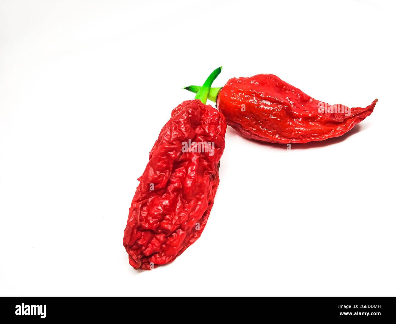 bhut jolokia ghost pepper isolated on white background. fresh Carolina ...