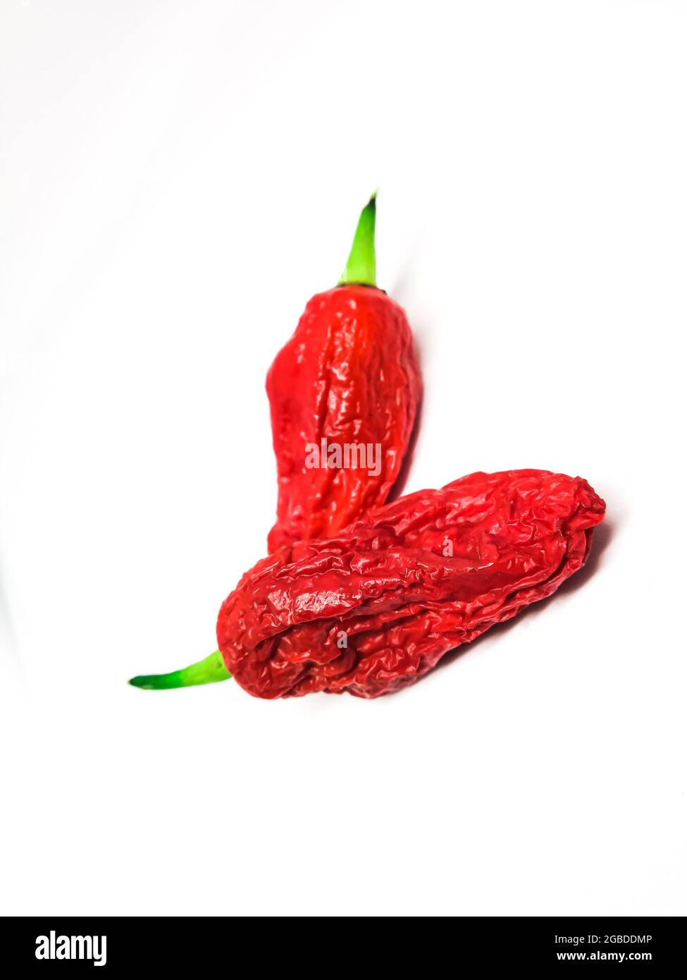 bhut jolokia ghost pepper isolated on white background. fresh Carolina ...