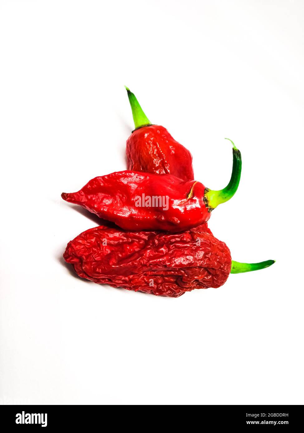 bhut jolokia ghost pepper isolated on white background. fresh Carolina ...