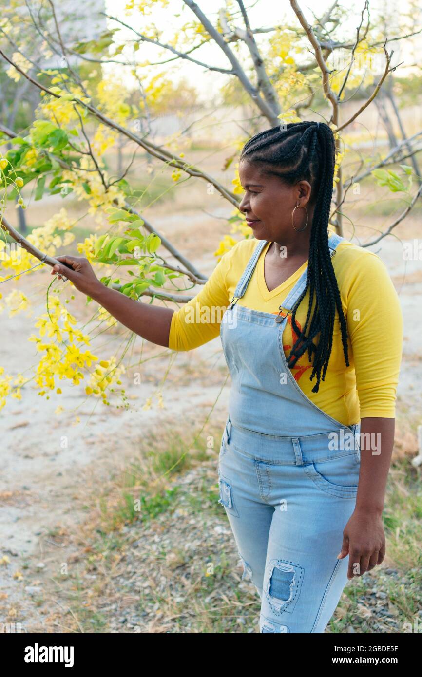 African woman touching the branches of a tree Stock Photo - Alamy