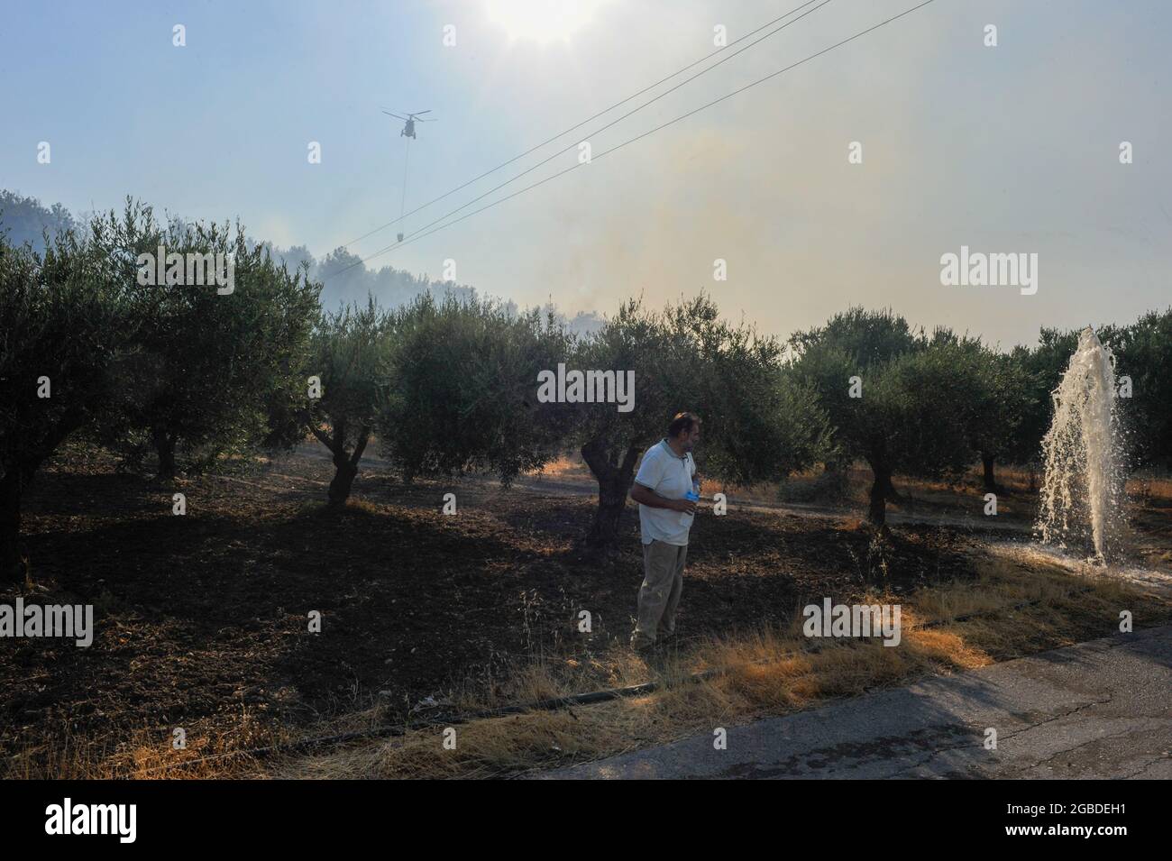 Heatwave causes fires burning for a second day the isle of Rodos ...