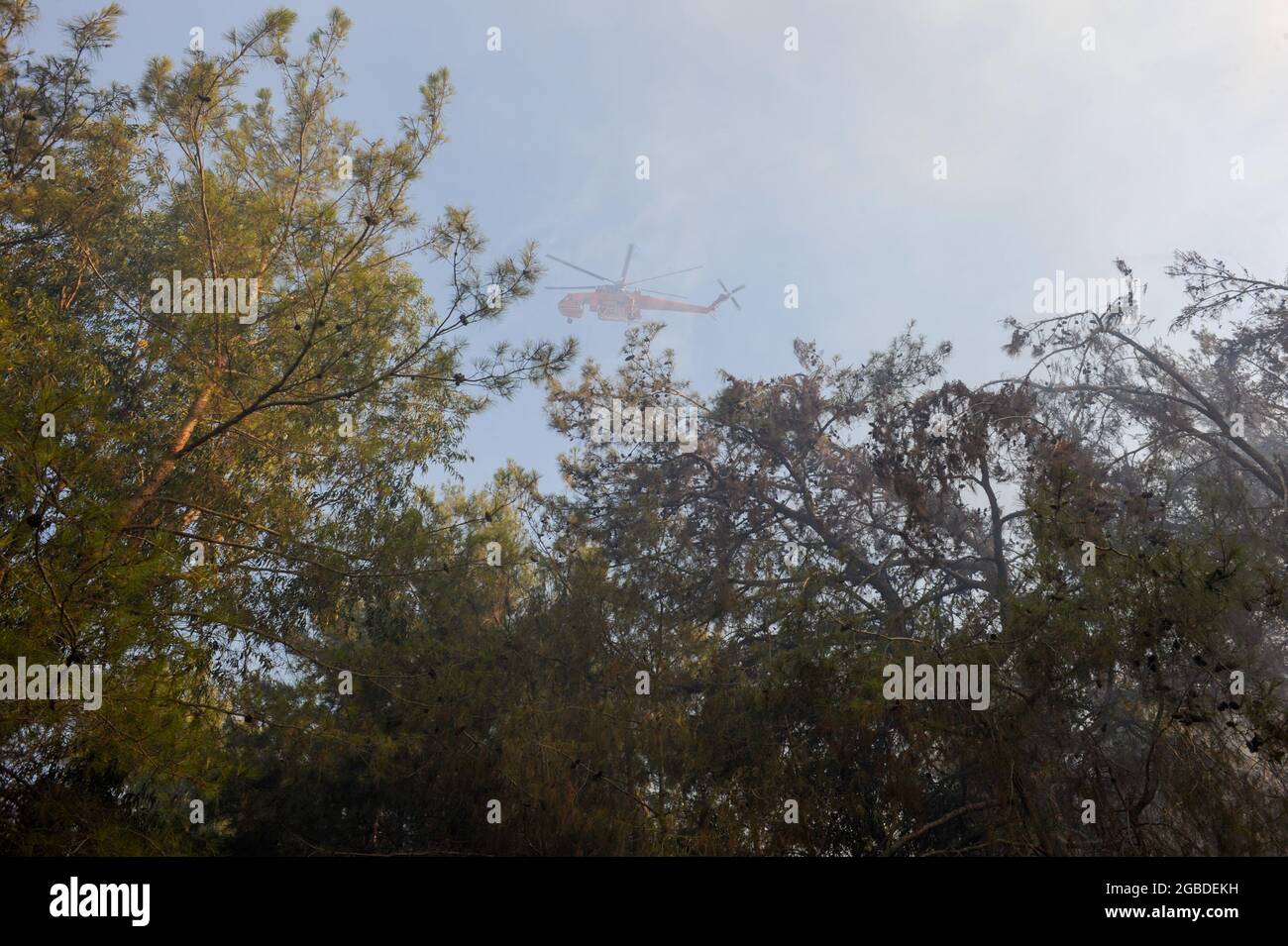 Heatwave causes fires burning for a second day the isle of Rodos ...