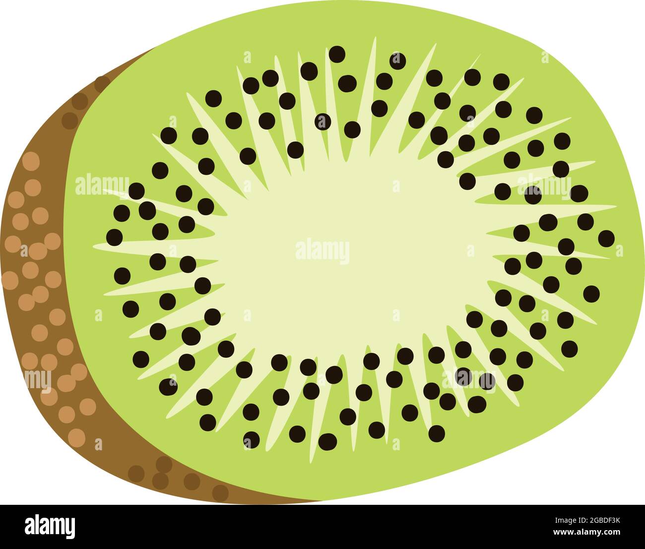 fresh kiwi half fruit Stock Vector Image & Art - Alamy