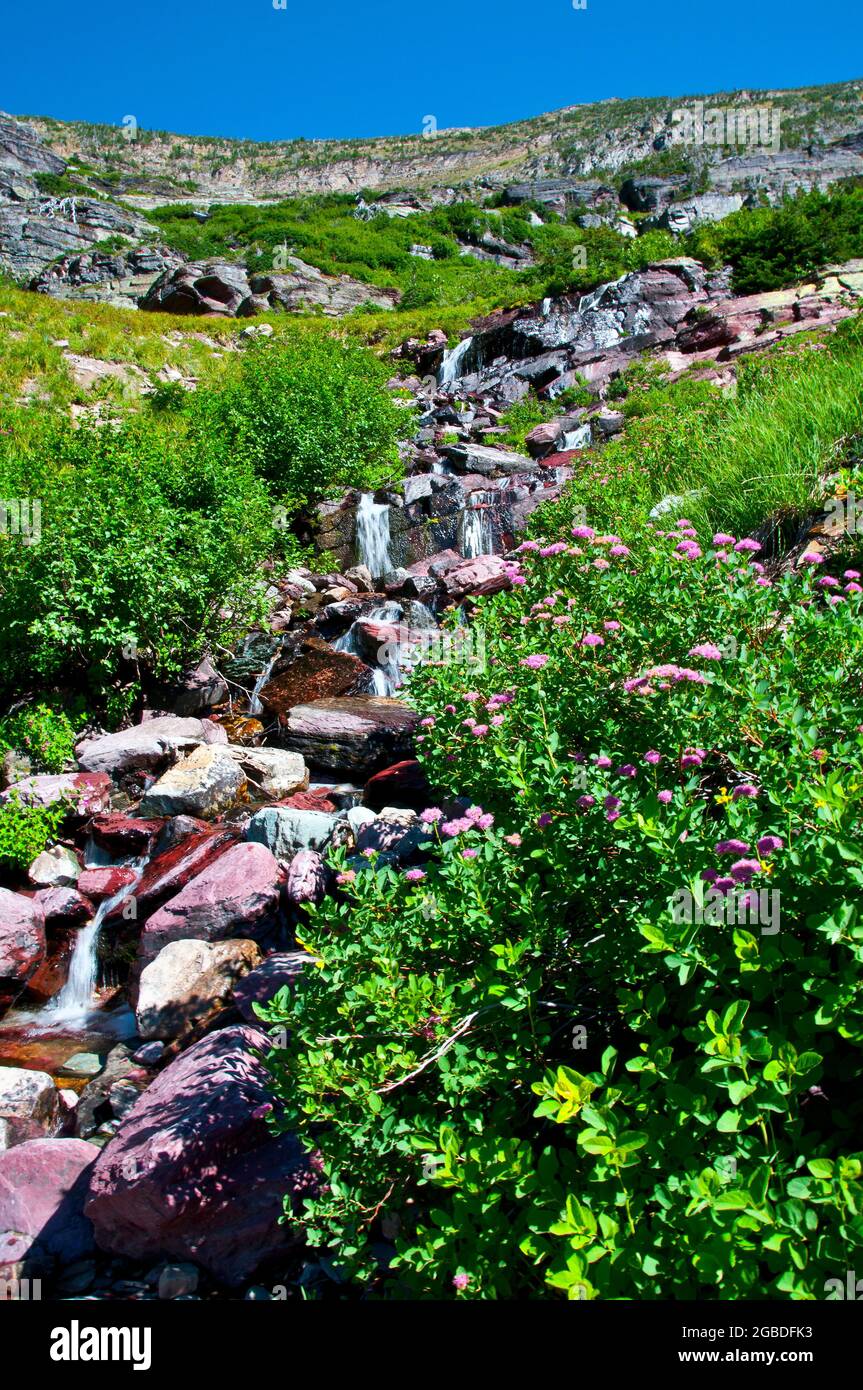 Small stream falling down the steep slope above Grinnell Glacier Trail ...