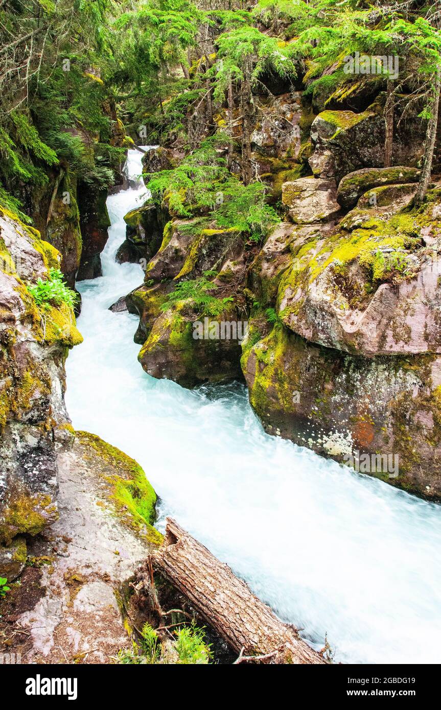 Waterfall on trail to Summit Lake, Glacier National Park, Montana Stock ...