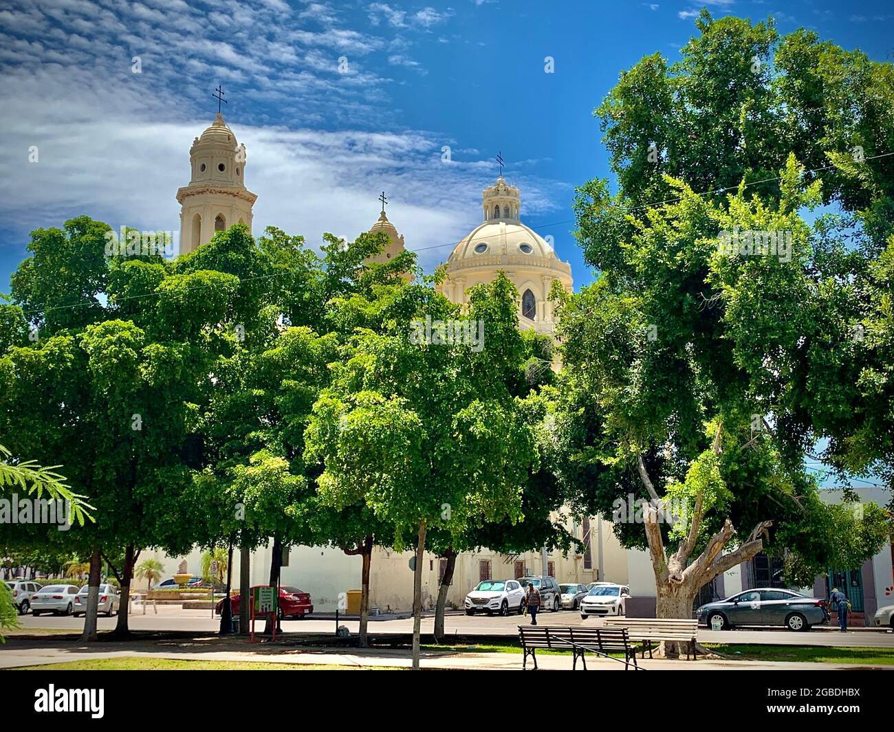 Trees and Cathedral of Hermosillo in Plaza Zaragoza in the Centenario ...