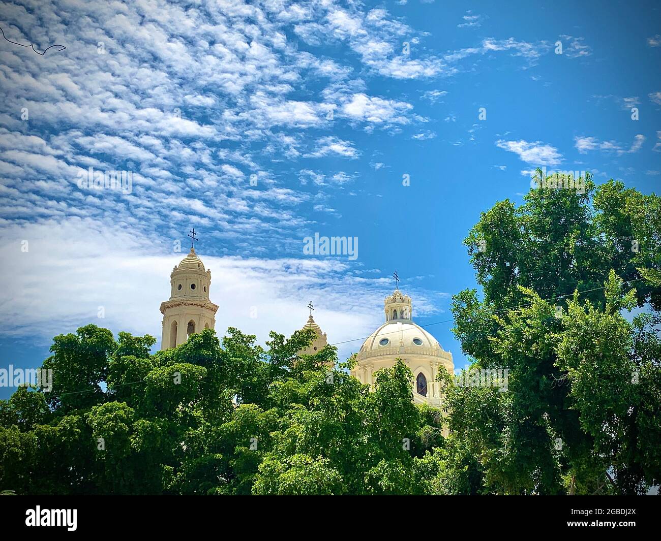Trees and Cathedral of Hermosillo in Plaza Zaragoza in the Centenario ...