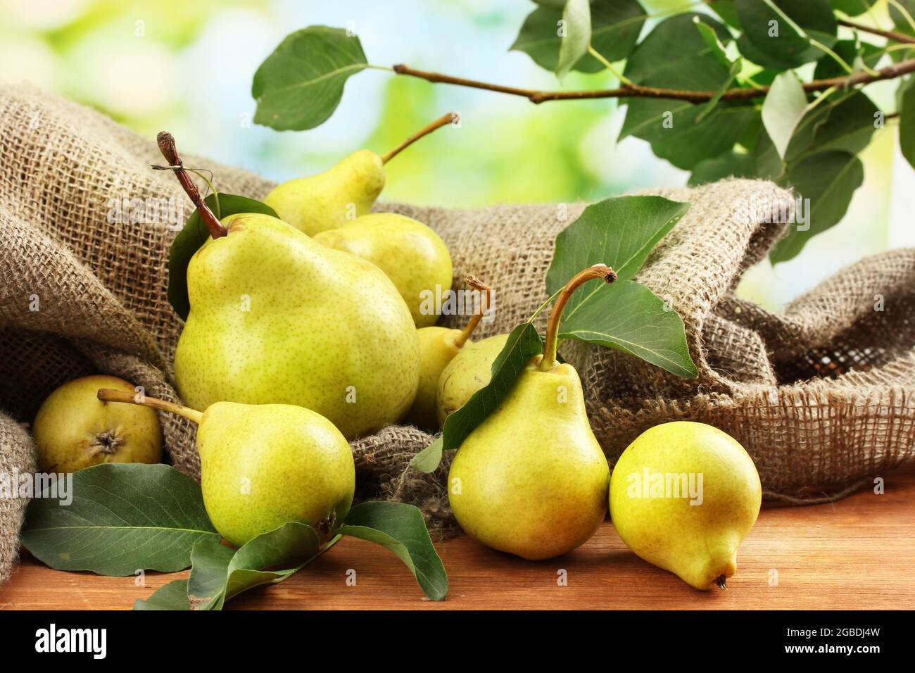 Juicy flavorful pears of nature background Stock Photo - Alamy