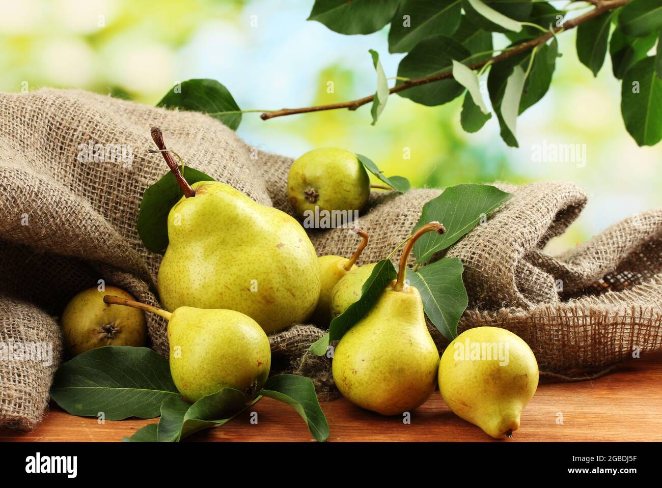 Juicy flavorful pears of nature background Stock Photo - Alamy