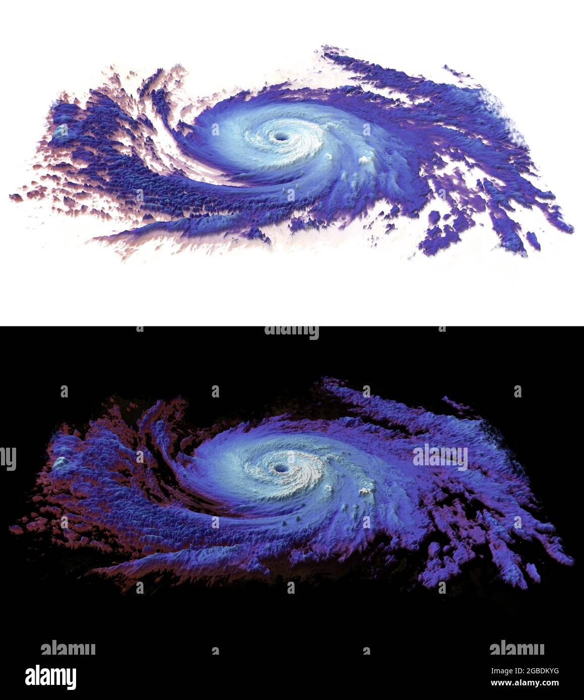 Hurricane isolated on white background and the same on black. Template ...
