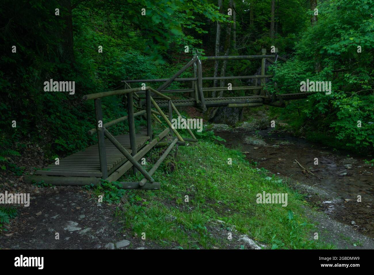 Strait valley with Rotschbach creek and Kesselfall waterfall without ...