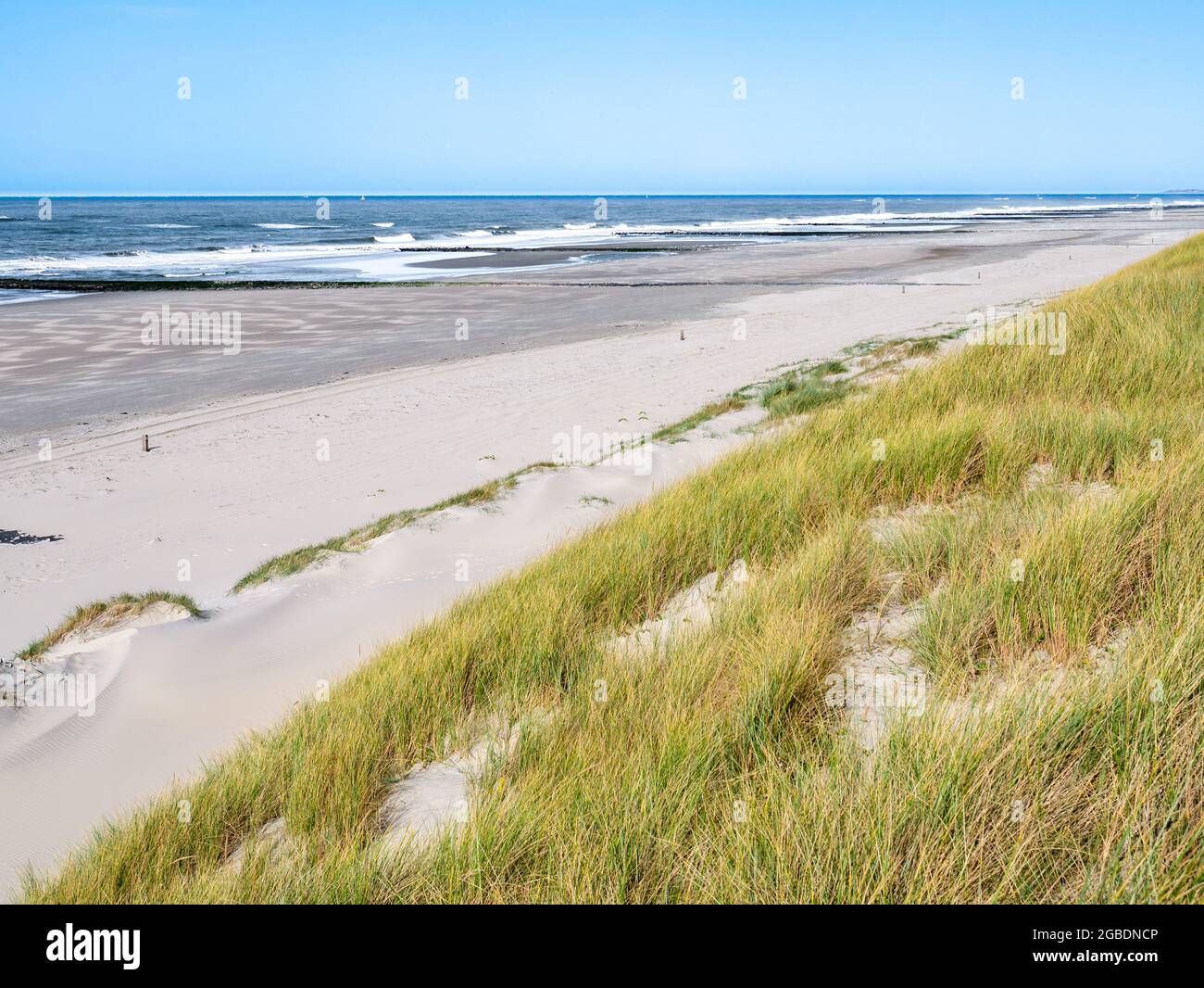 Deserted beach, breakwaters and dunes at North Sea coast of West ...