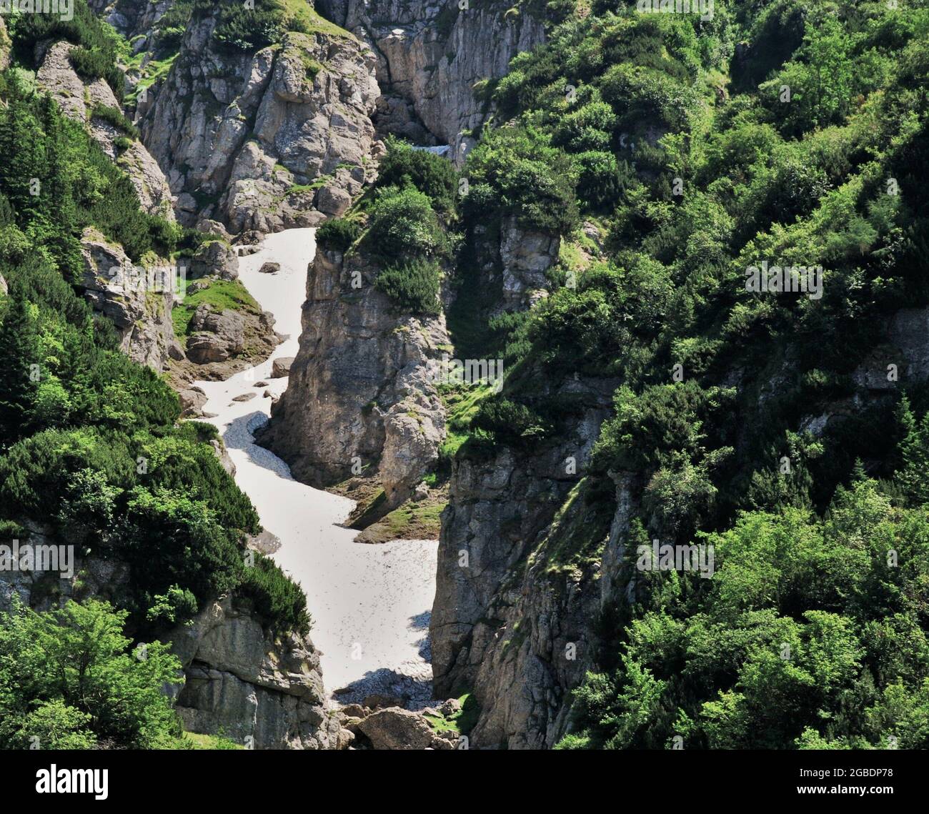 Natural view of a rocky cliff and trees in a forest Stock Photo - Alamy
