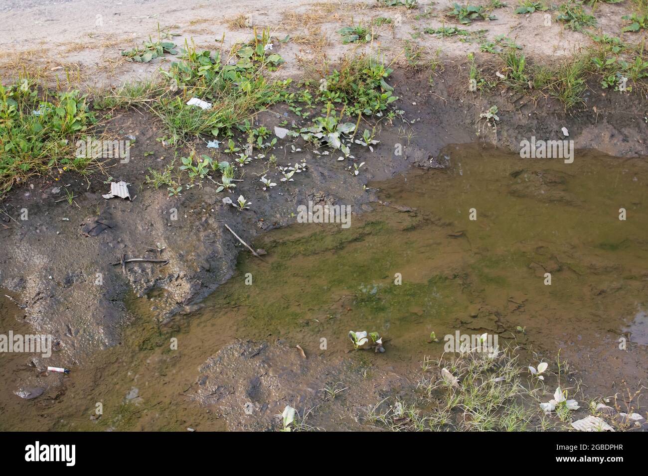 Wet sand puddle texture hi-res stock photography and images - Alamy