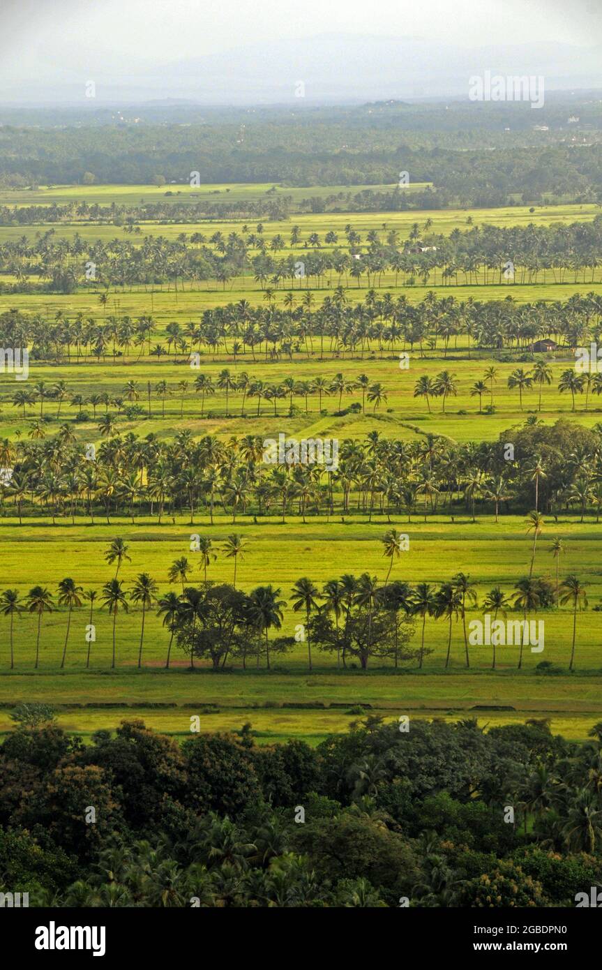 Monsoon landscape of North Goa state of India Stock Photo - Alamy
