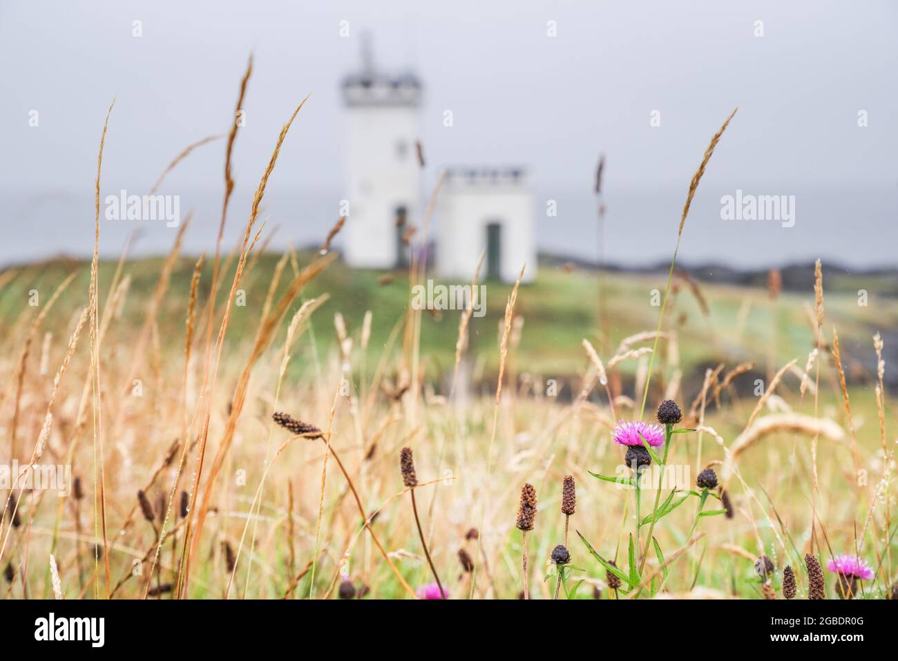 Pretty Elie Ness Lighthouse in Fife - Scotland, UK Stock Photo - Alamy