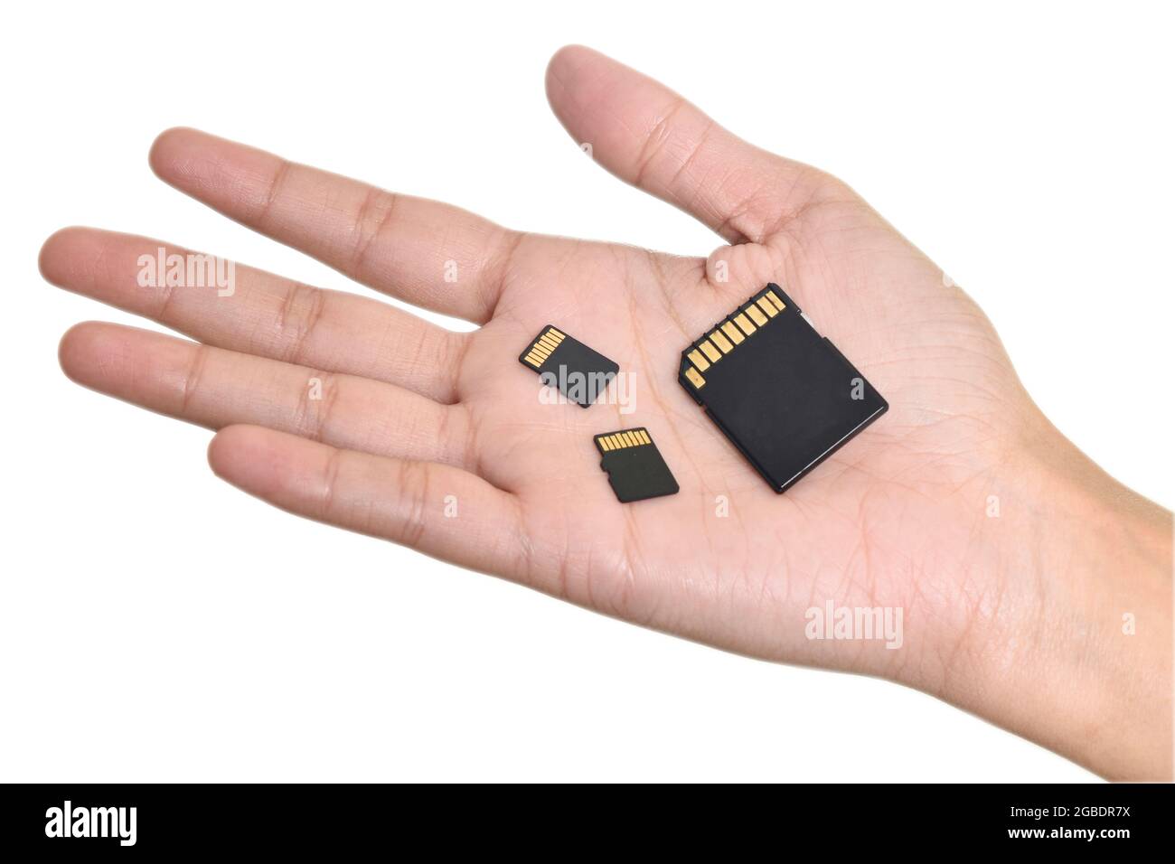 SD Card In Hand Isolated On White Background With Clipping Path Stock ...