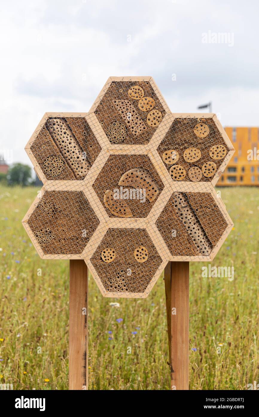 Insect hotel hexagon made of natural materials like wood with holes ...