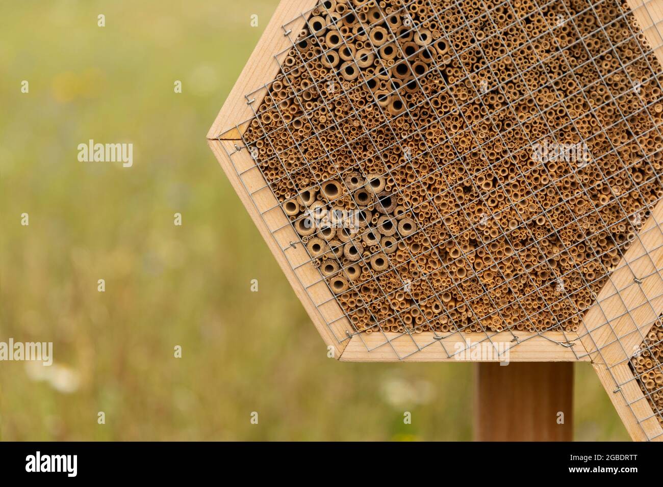 Insect hotel hexagon detail made of natural materials like bamboo ...