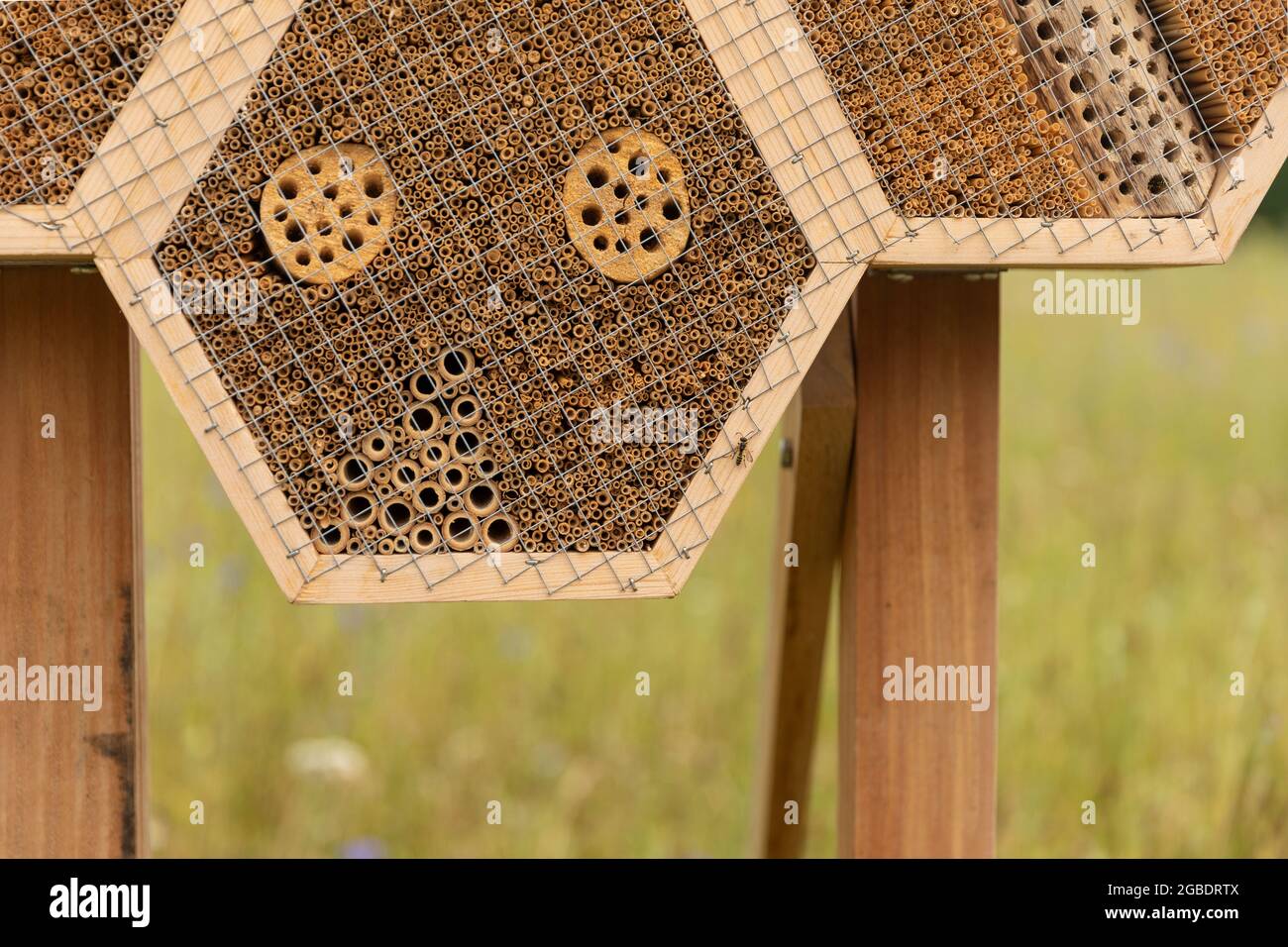 Insect hotel hexagon detail made of natural materials like wood with ...