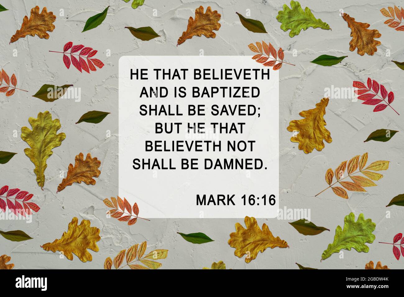 Bible quote in frame with colorful yellow green autumn leaves ...