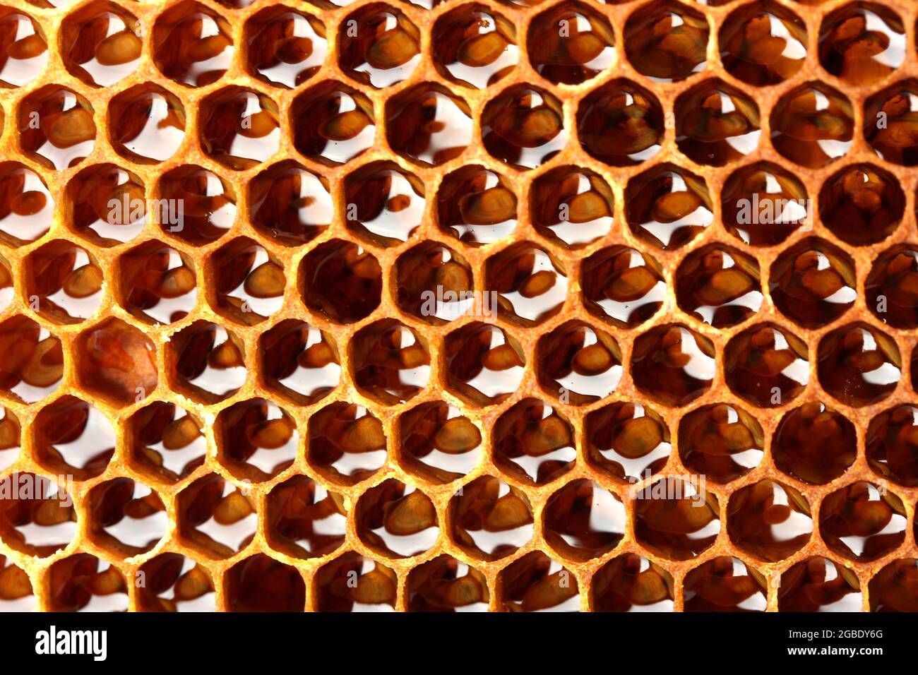 yellow beautiful honeycomb with honey, background Stock Photo - Alamy