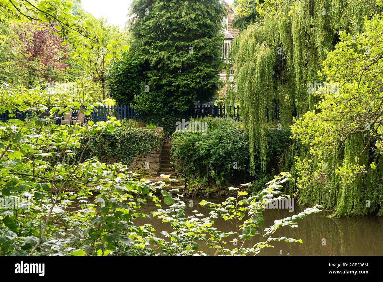 Droopy trees hi-res stock photography and images - Alamy