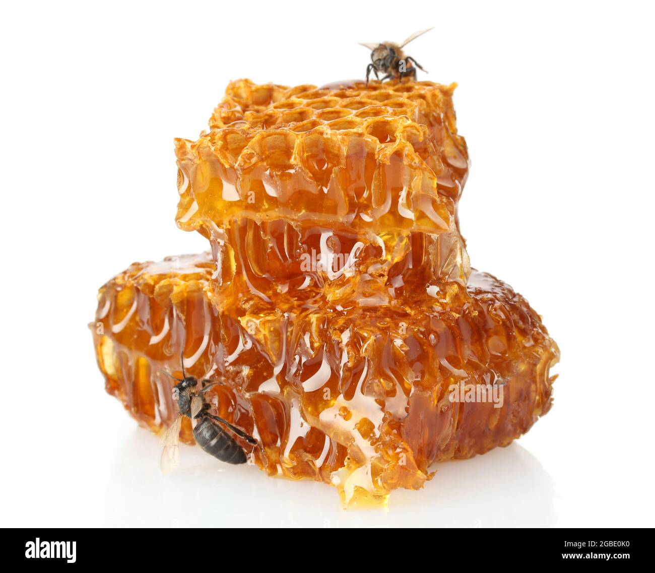 sweet honeycomb with honey and bee, isolated on white Stock Photo - Alamy