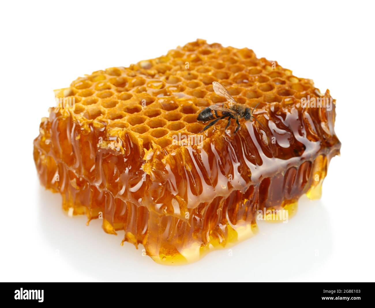 sweet honeycomb with honey and bee, isolated on white Stock Photo - Alamy