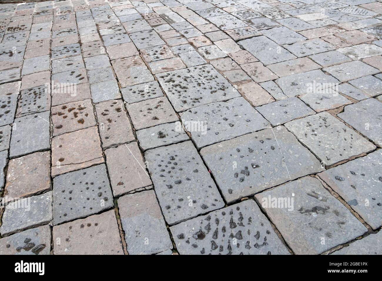 Cobblestones in the streets of Florence, Italy on a summer day Stock ...