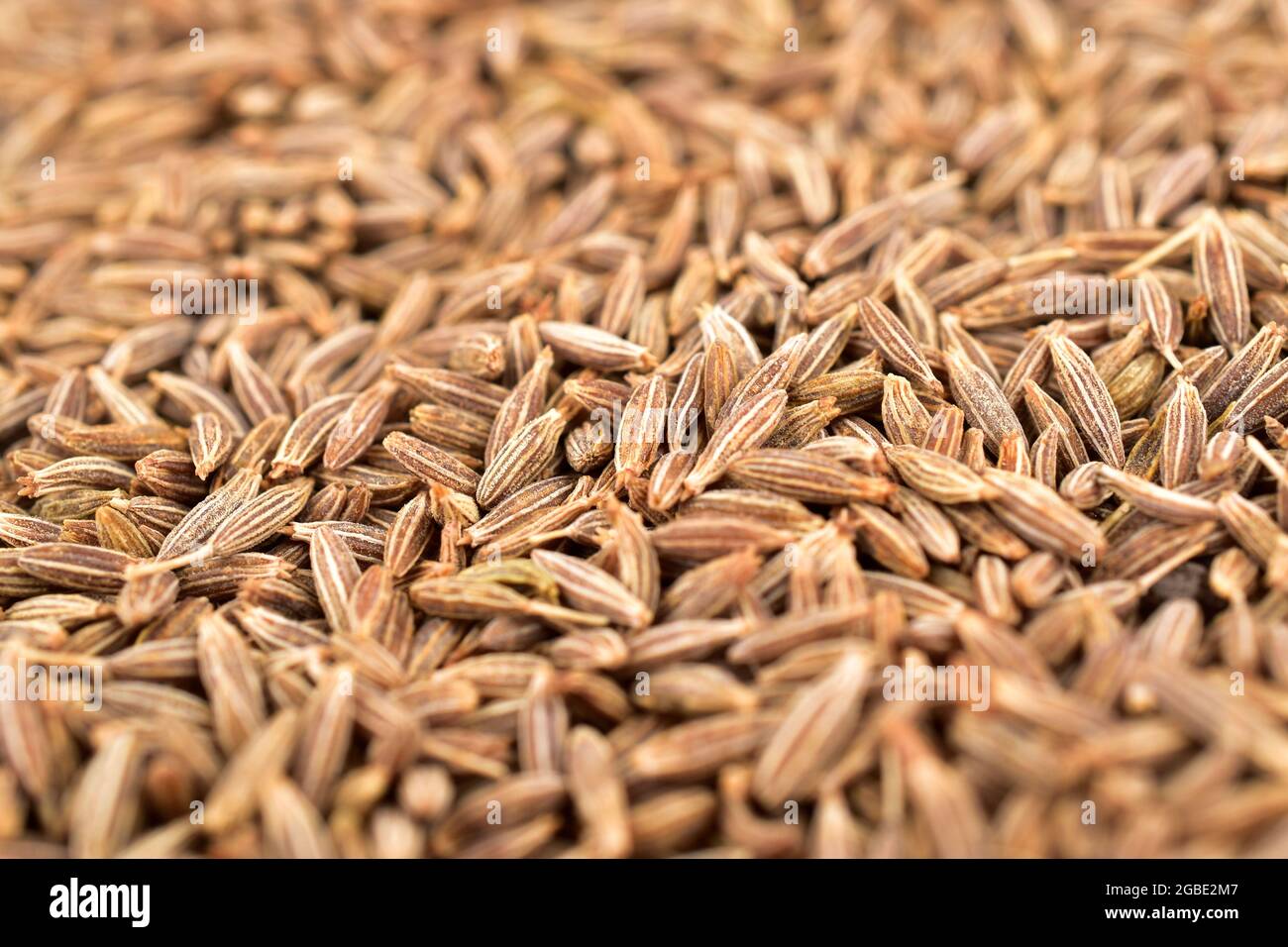 Cyminum hi-res stock photography and images - Alamy