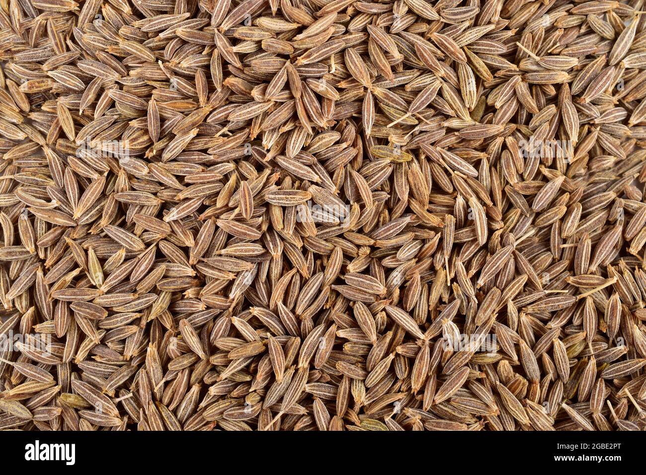 Cumin Seeds Texture, Top View Of Caraway Seeds Stock Photo - Alamy