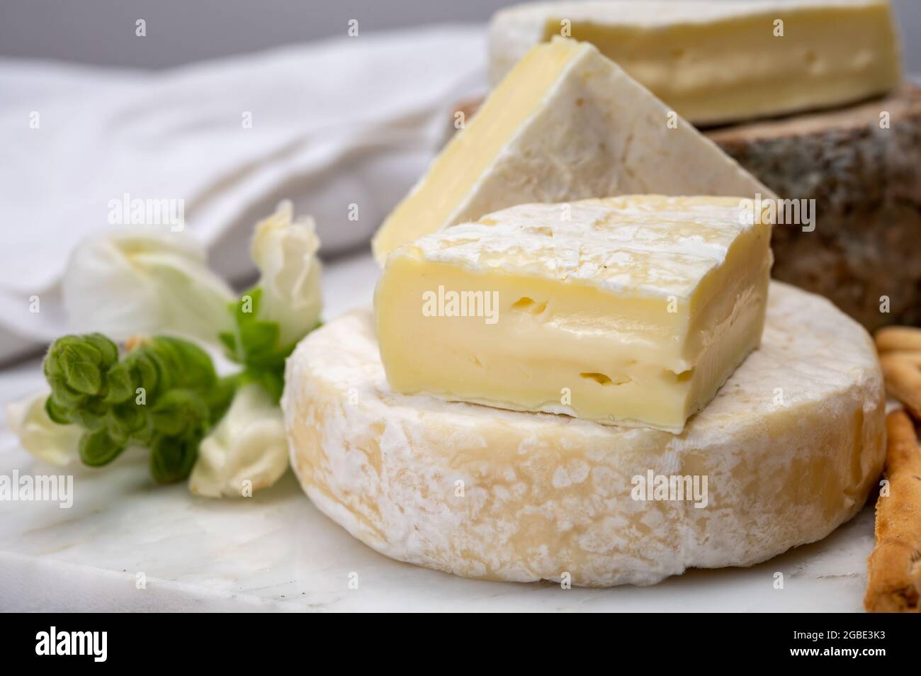 Cheese collection, fresh white soft cow cheese with mold from Swiss and ...