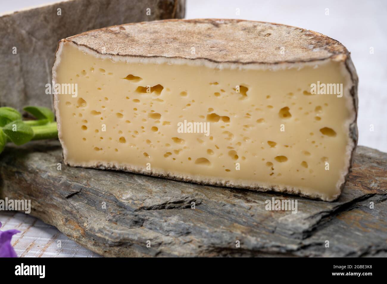 Cheese collection, matured cow cheese with mold tommette de savoie from ...