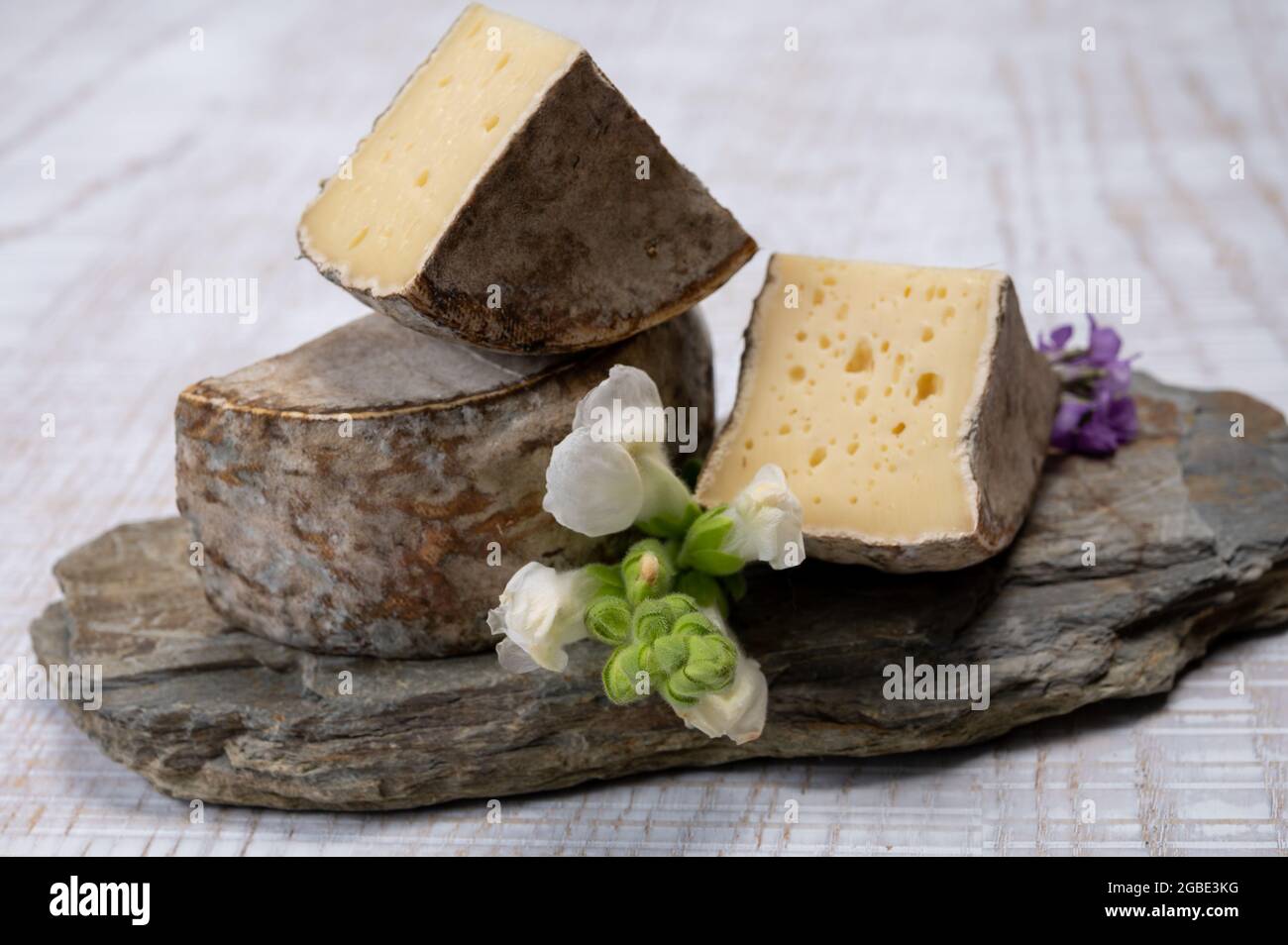 Cheese collection, matured cow cheese with mold tommette de savoie from ...
