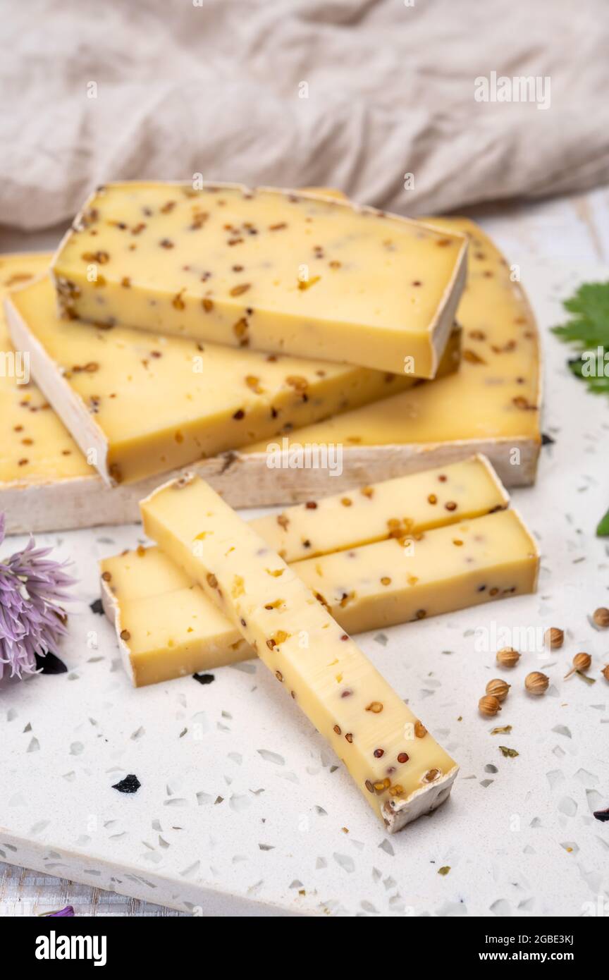 Cheese collection, matured yellow cow cheese with mustard seeds from ...