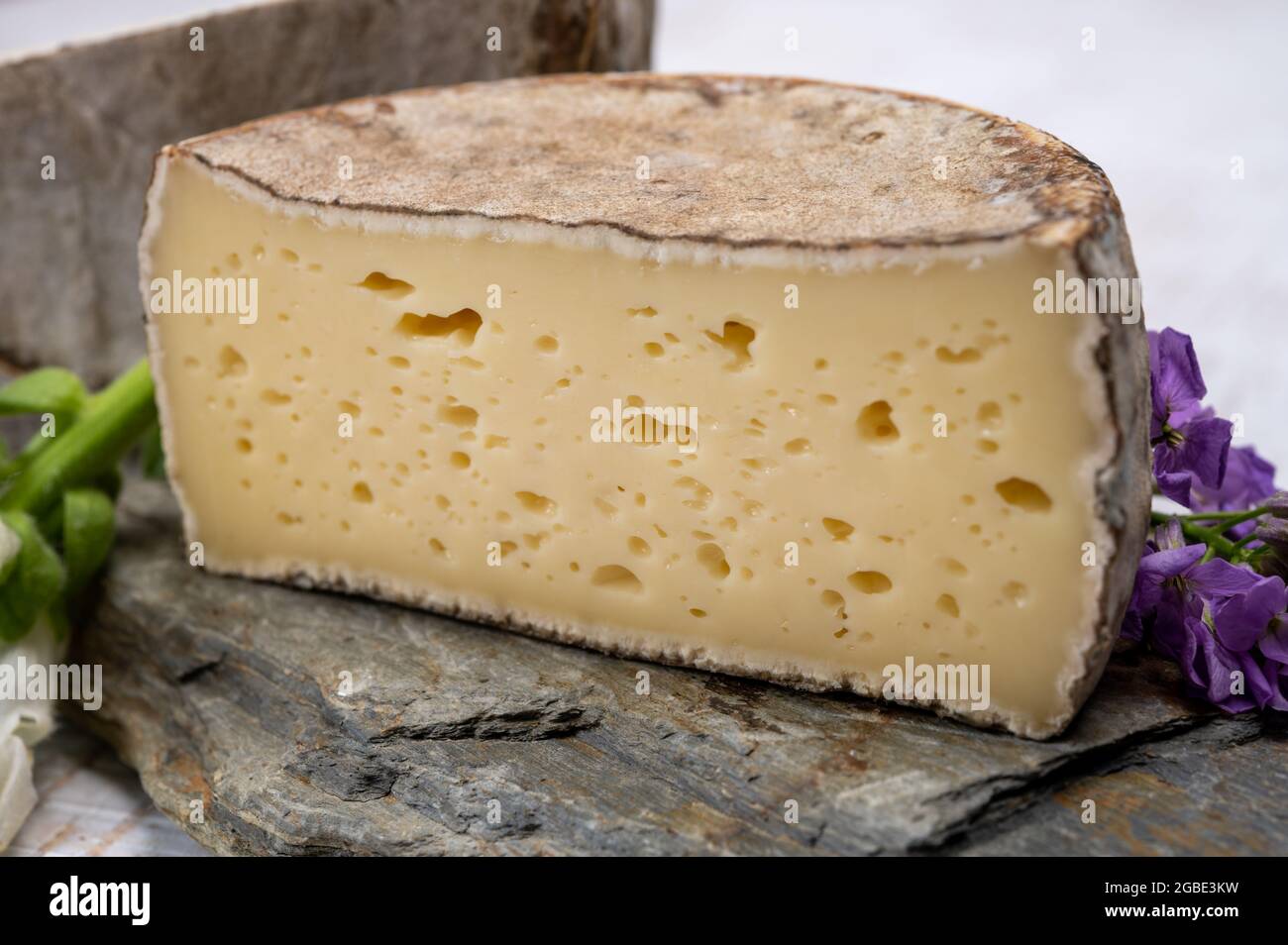 Cheese collection, matured cow cheese with mold tommette de savoie from ...
