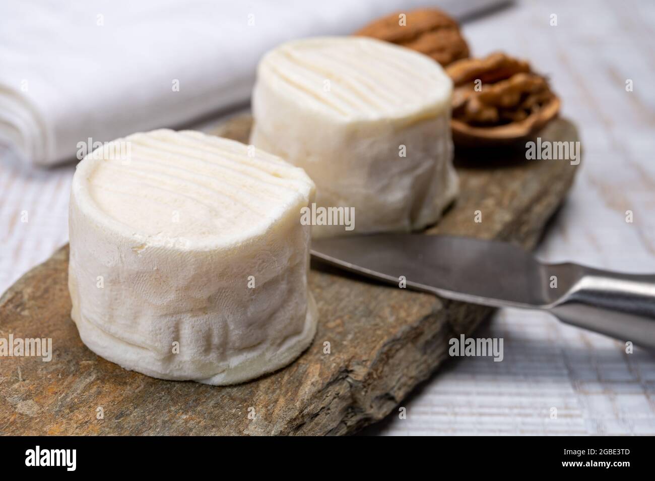 Cheese collection, soft goat French cheese with mold crottin de ...