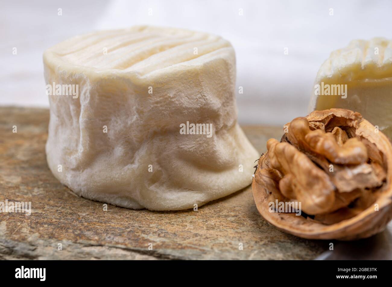 Cheese collection, soft goat French cheese with mold crottin de ...