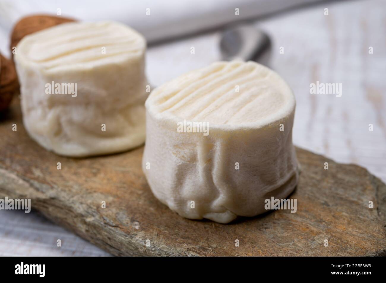 Cheese collection, soft goat French cheese with mold crottin de ...