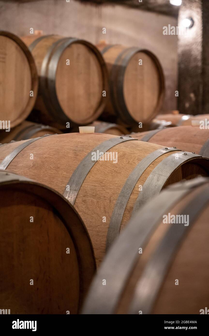 Keeping for years of dry red wine in new oak barrels in caves in ...
