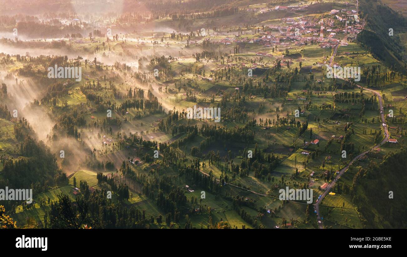 Landscape of a beautiful village covered in greenery during the sunrise ...