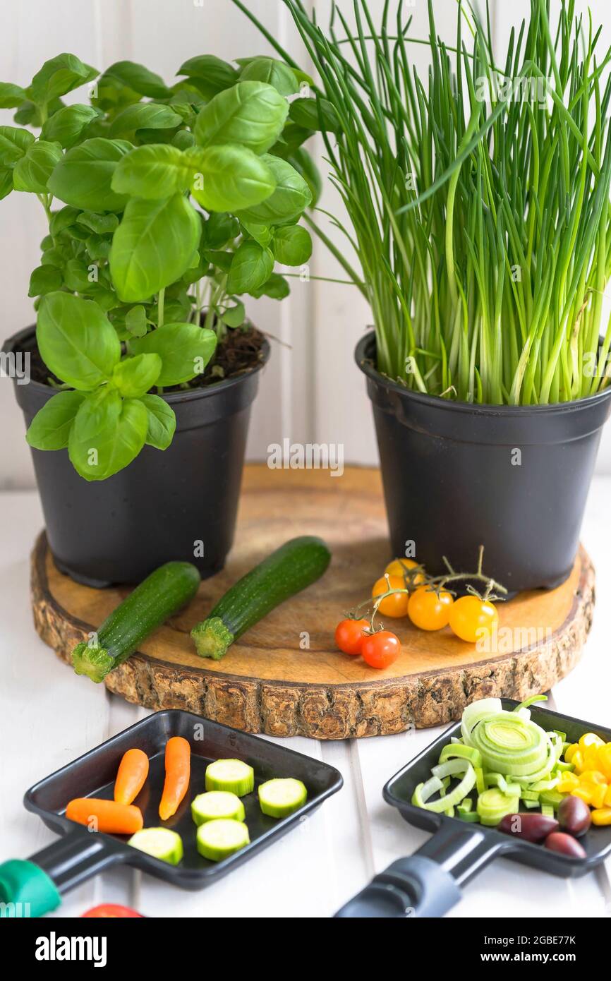 Two indoor plants with black pot in the kitchen with pans stuffed with ...