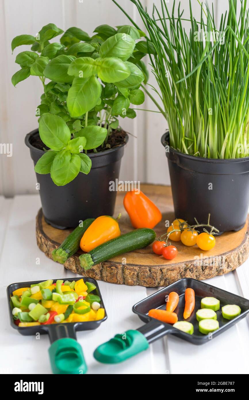 Two indoor plants with black pot in the kitchen with pans stuffed with ...