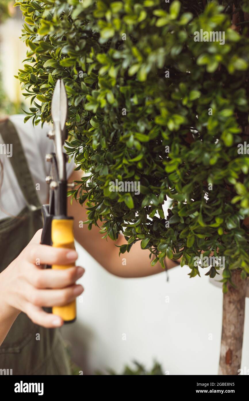 Manual hedge clippers hi-res stock photography and images - Alamy