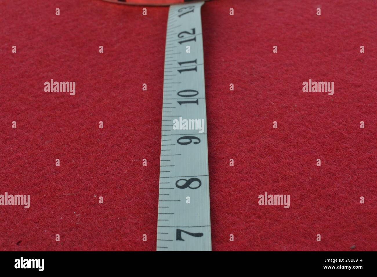 Ruby Rose Leather High Resolution Stock Photography and Images - Alamy